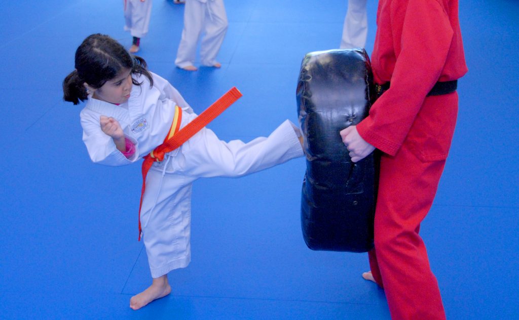 Mixed Martial Arts Training Institute In Katy Texas